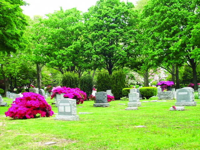 Flushing Cemetery Master Plan - BSC Group