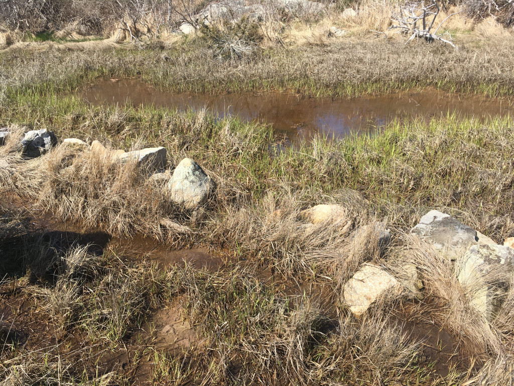 Allens Pond Wildlife Sanctuary Site Improvements - BSC Group