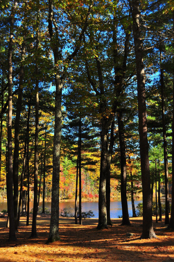 Trail Master Planning for State Forests and Parks - BSC Group